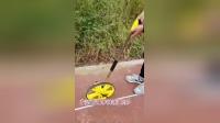 临沂韩强手持测距轮、小型高精度万强测距轮实际测量演示