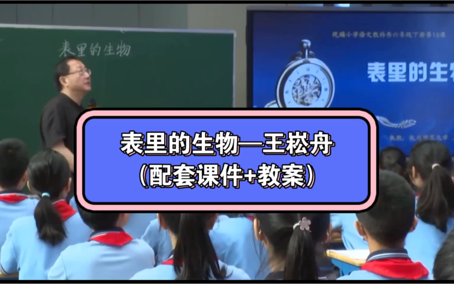 小学语文公开课《表里的生物》执教人：王崧舟，课堂实录