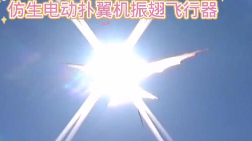 仿生电动扑翼机振翅飞行器