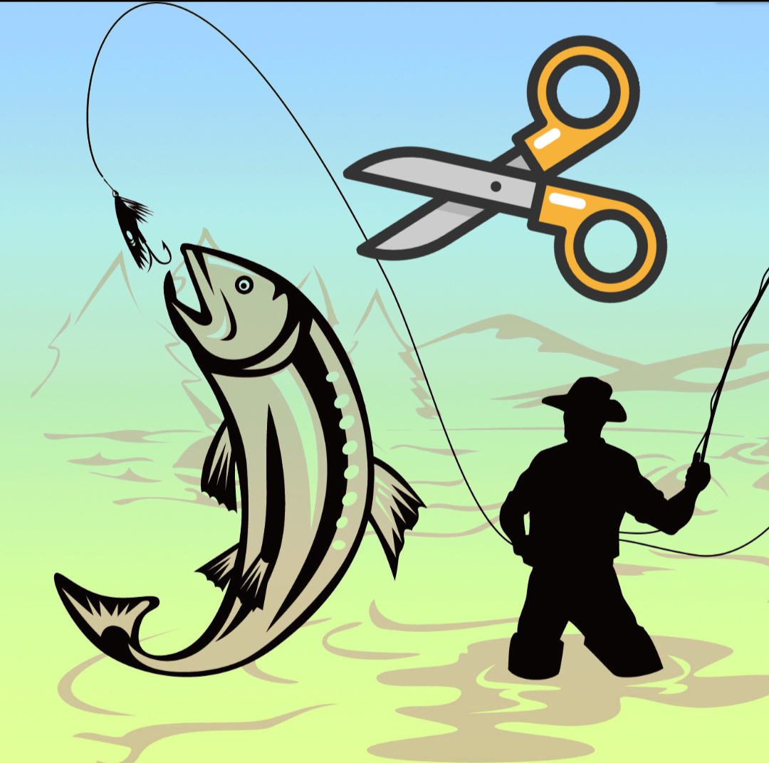 爱钓鱼的小钢剪 