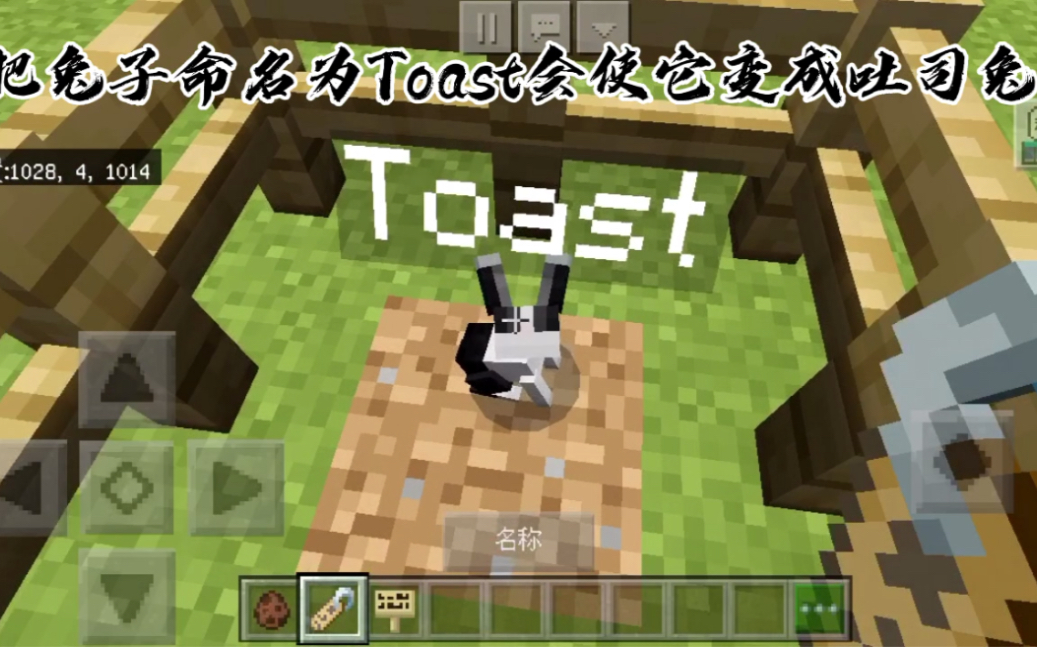 [我的世界]告诉你关于命名牌的六个彩蛋和小技巧!