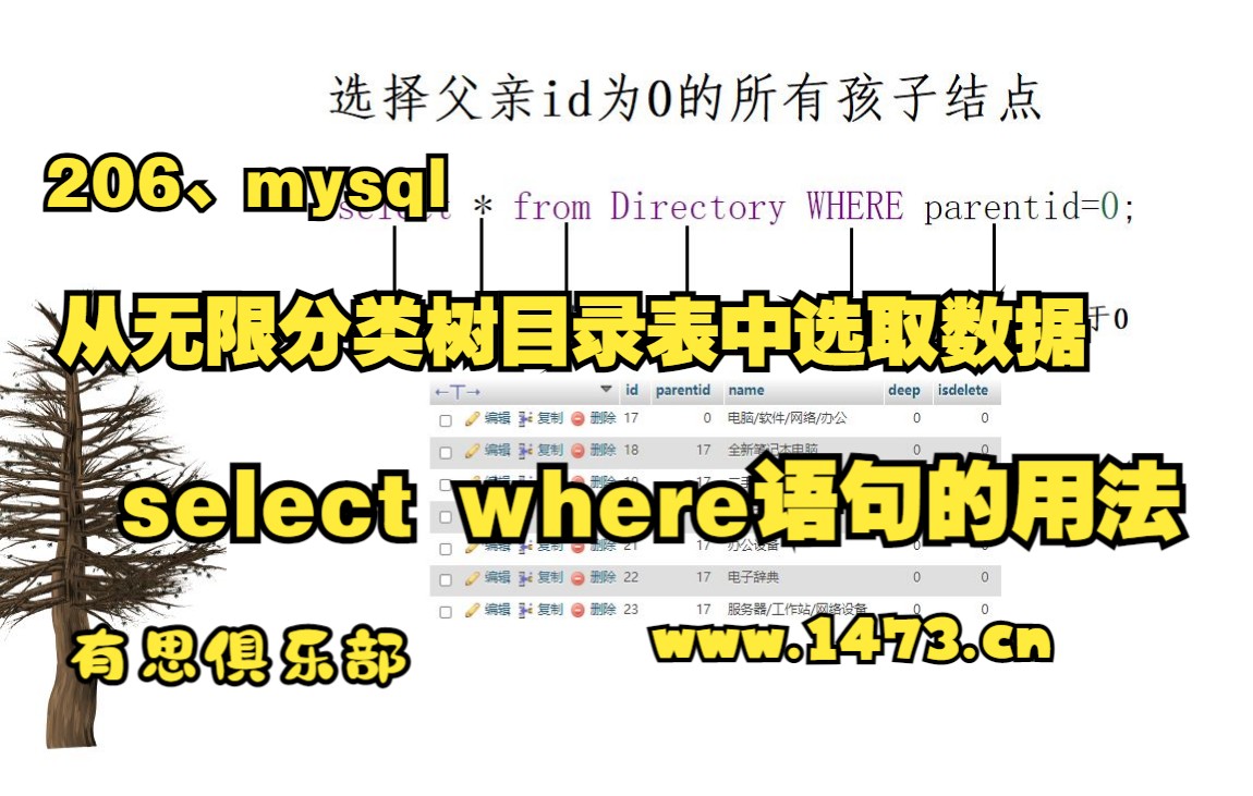 206、mysql-从无限分类树目录表中选取数据select where语句的用法
