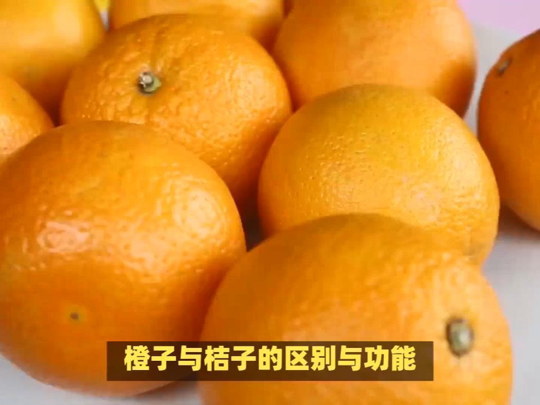 橙子与桔子的区别与功能! #头条双星激励计划 #老六师傅