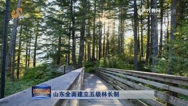 山东建立五级林长制体系,真正实现山有人管、树有人护、责有人担