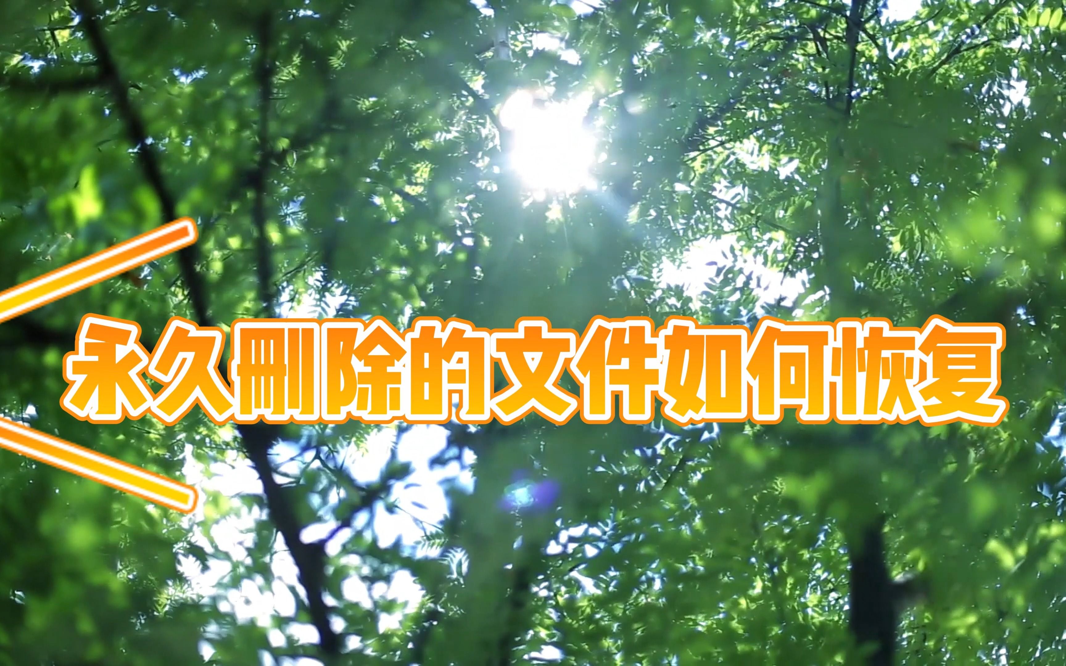 永久删除的文件如何恢复