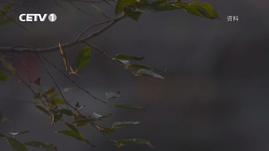 鞠萍姐姐谈如何教导孩子有一个正确的交友观