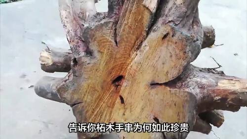 柘木手串属于什么档次?你知道吗?为何如此珍贵?