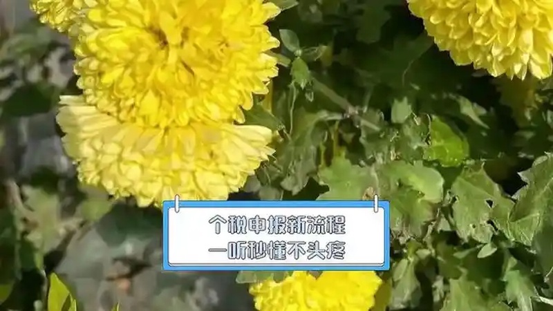 个税申报新流程,一听秒懂不头疼