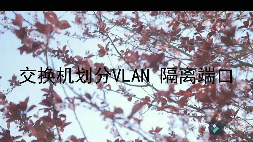 交换机划分VLAN 隔离端口