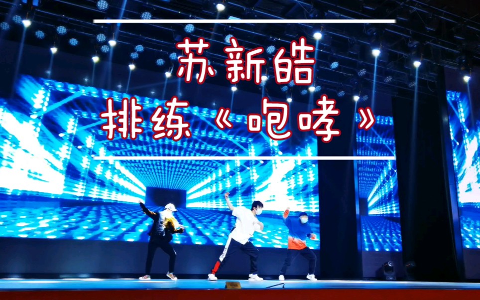 苏新皓学校晚会排练《咆哮》