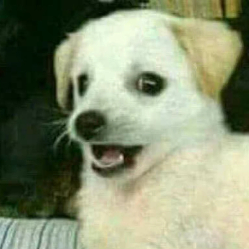 得快点想个新名字出来 