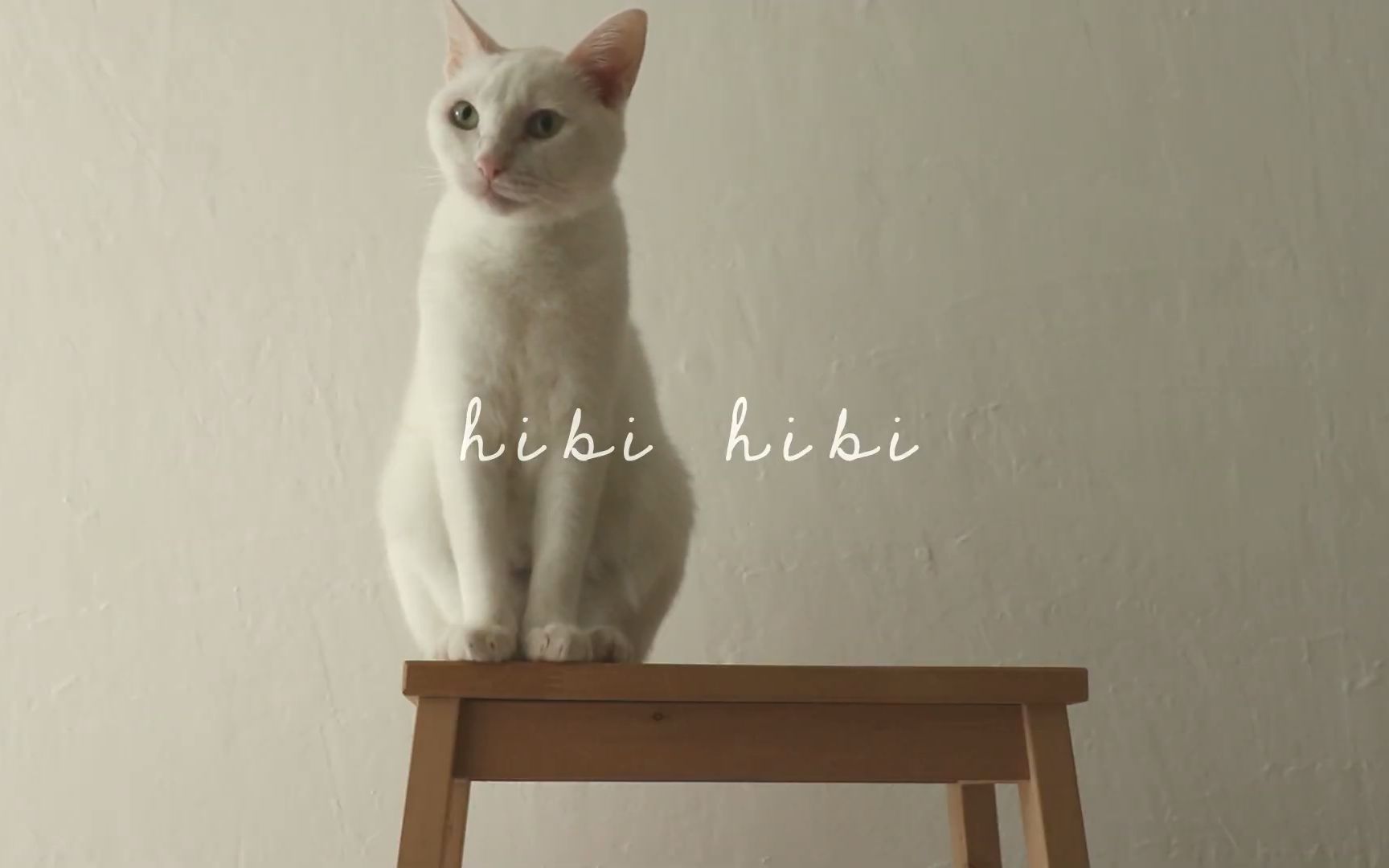 ...のsimple life vlog 准备寒冷季节 | 清洁和检查厨房食品仓库 | 新锅和火锅