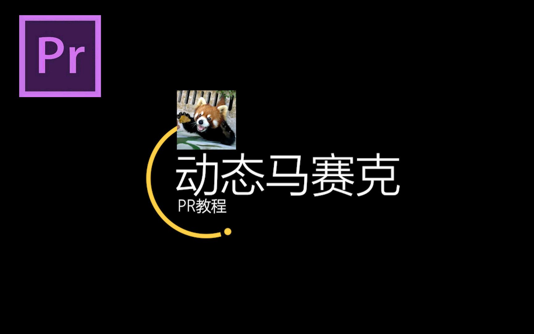 【PR教程】制作动态马赛克