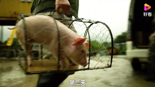 新型病毒席卷全球,每三名感染者中就有一人死掉!灾难电影传染病