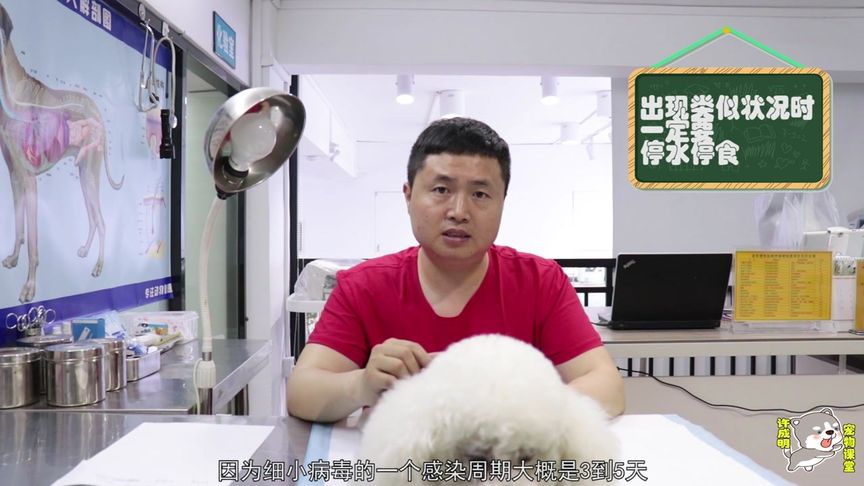 许成明宠物课堂:狗狗细小病毒的防范讲解