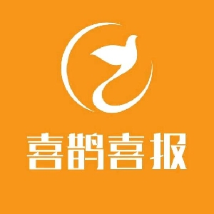 喜鹊喜报美业系统 
