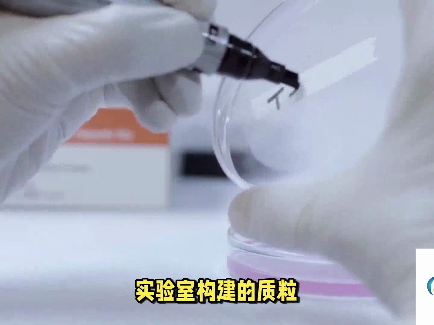 质粒有哪些分类和用途?