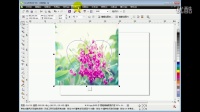 18. CorelDRAW CDR X6图框精确剪裁对象