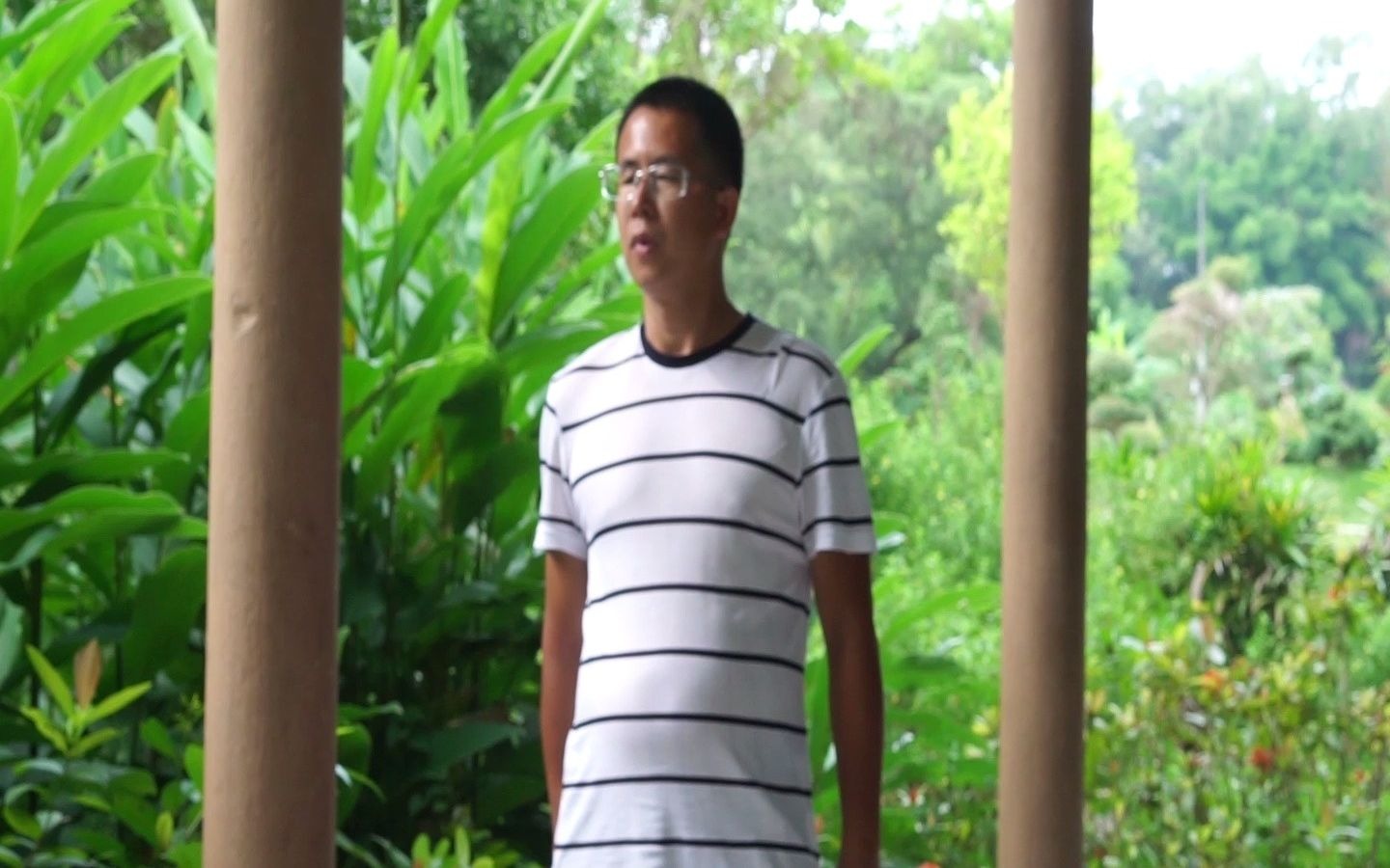叶子长得像山药,块茎像板薯—黄独(薯蓣科)