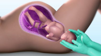 生孩子到底有多疼?3D动画模拟全过程,看完心疼妈妈!