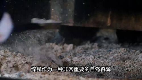 煤炭是植物形成的,可100多米厚的煤层,到底是怎么形成的?