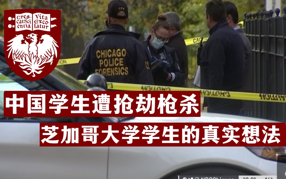 又一起枪击案后,芝加哥大学学生的真实想法