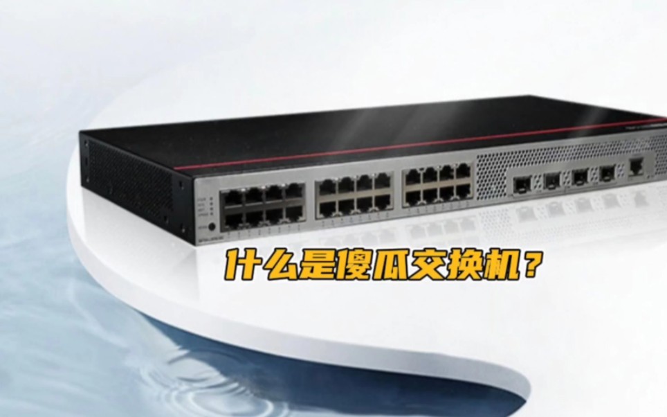什么是傻瓜交换机?