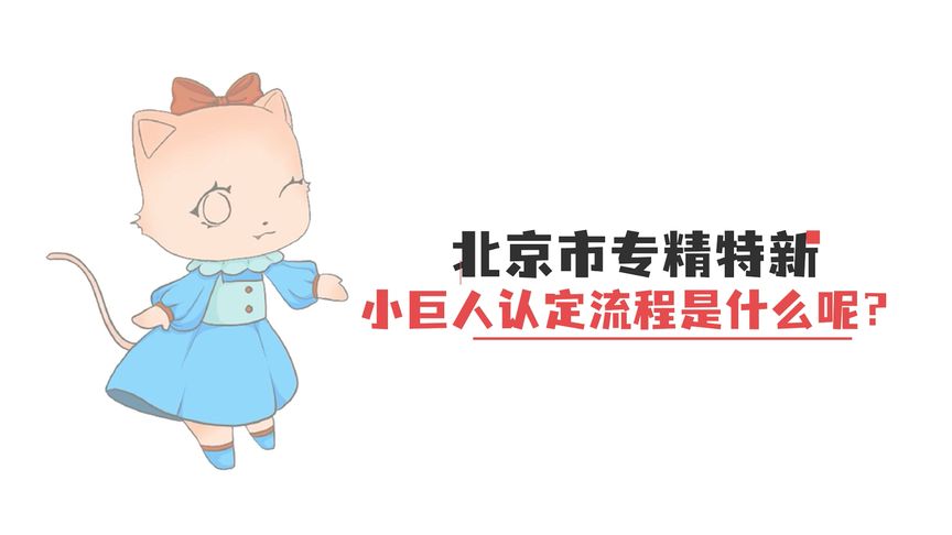 北京市专精特新小巨人认定流程是什么?