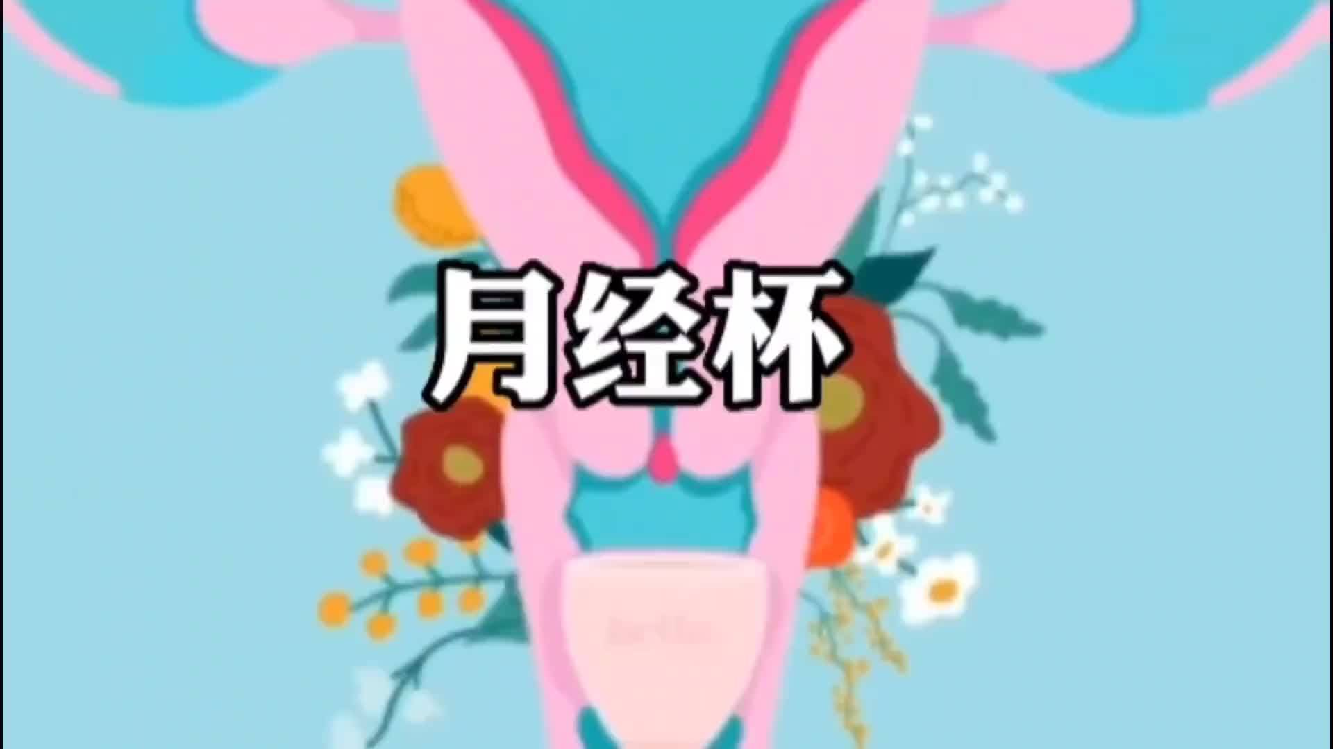 月经杯是什么给你们科普一下