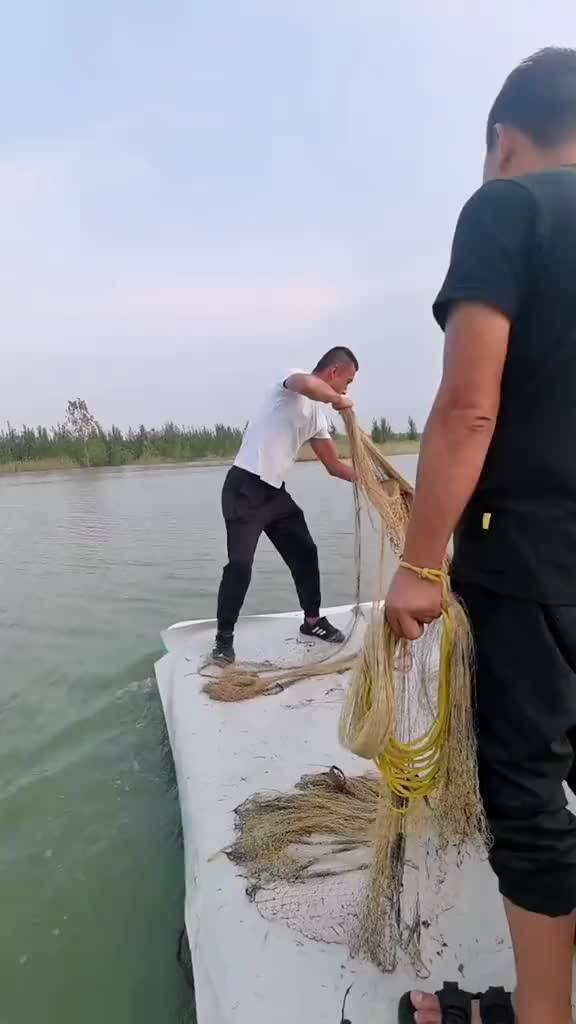 连自己都没想到能撒开这么大的渔网。