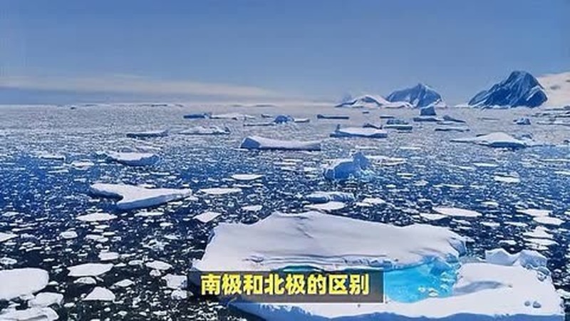 南极和北极的区别!