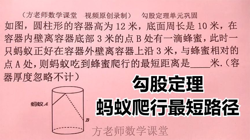 八年级数学:怎么求蚂蚁爬行的最短距离?勾股定理,应用题巩固