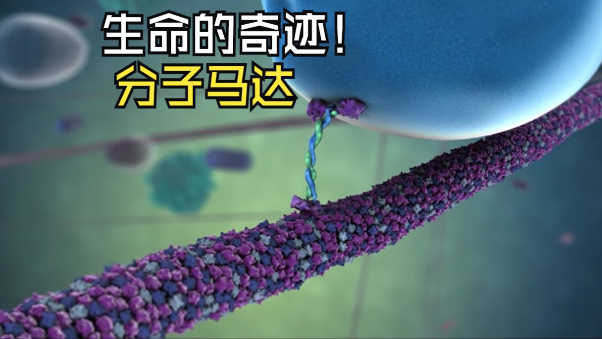 分子马达:化学世界的创新与探索