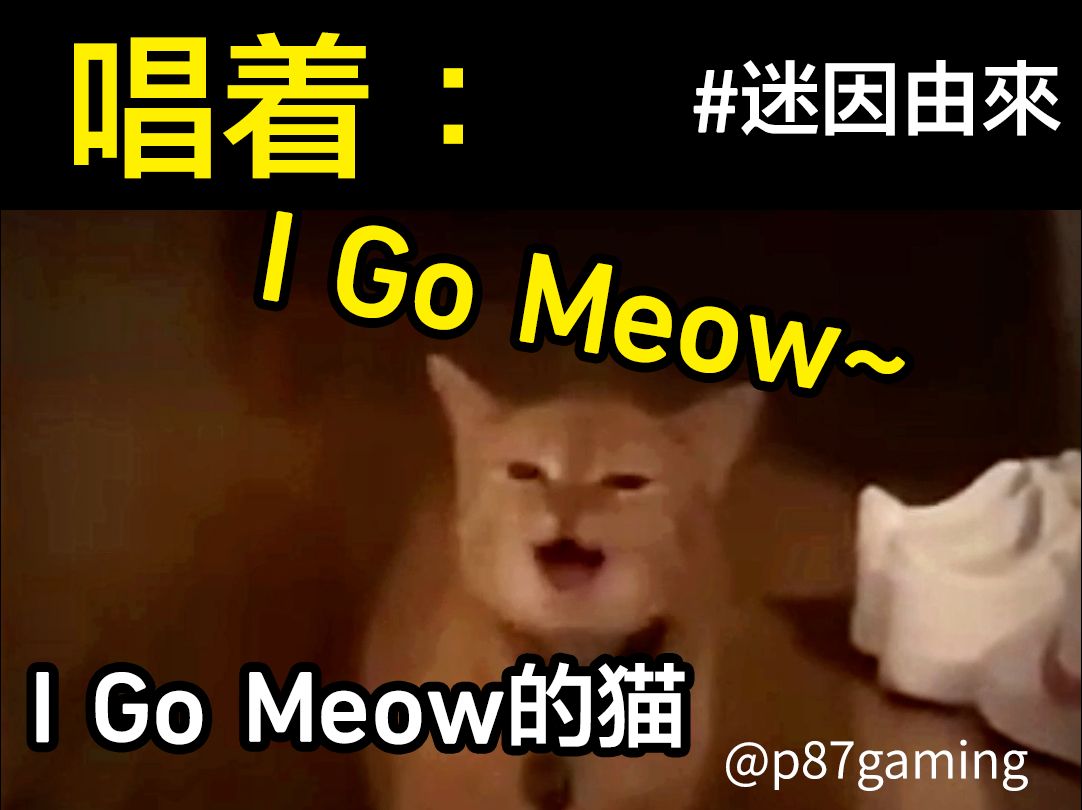 唱 “I Go Meow” 的猫咪!ߎ� #IGoMeow #Cala #唱歌的猫 #猫meme ...