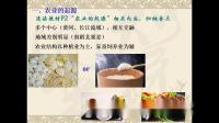 《精耕细作农业生产模式的形成》录播视频