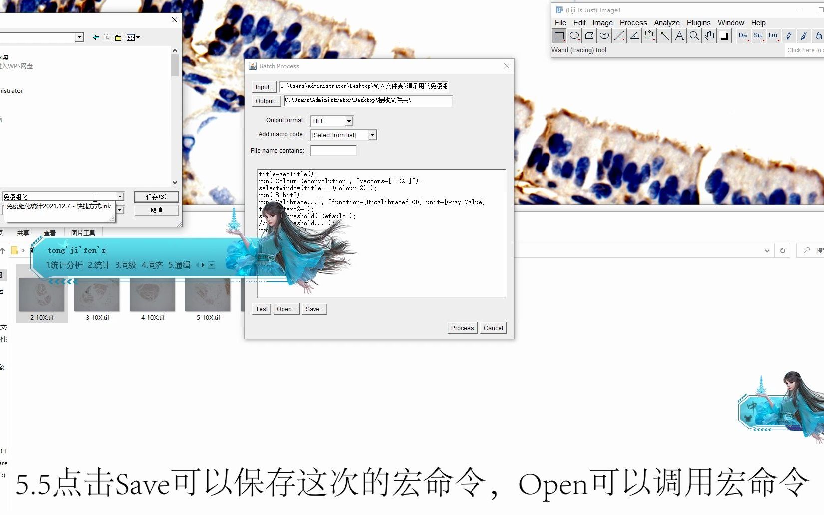 image j怎么批量处理图片(以免疫组化为例)