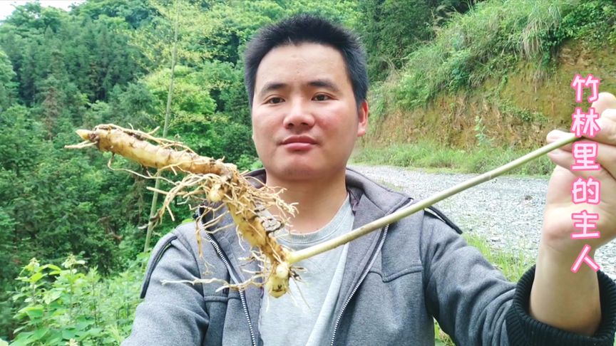 农村这1种植物的样子跟黄精相似,叫玉竹,它有什么作用呢?