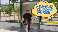 小许为何要办理《林木种子生产经营许可证》,这个证好不好办?