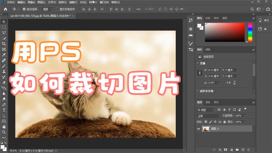 PS零基础视频教程,用ps如何裁切图片