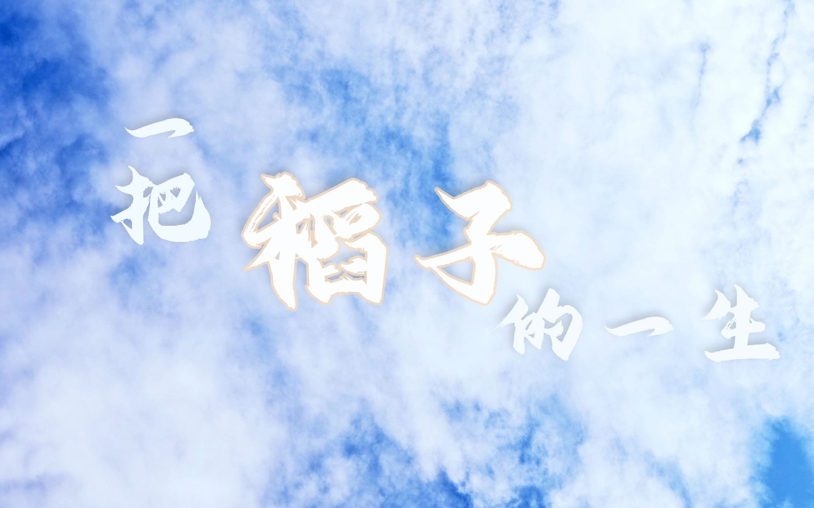...一把稻子的一生》稻子的第一视角 记录它的一生 节约粮食 公益宣传片