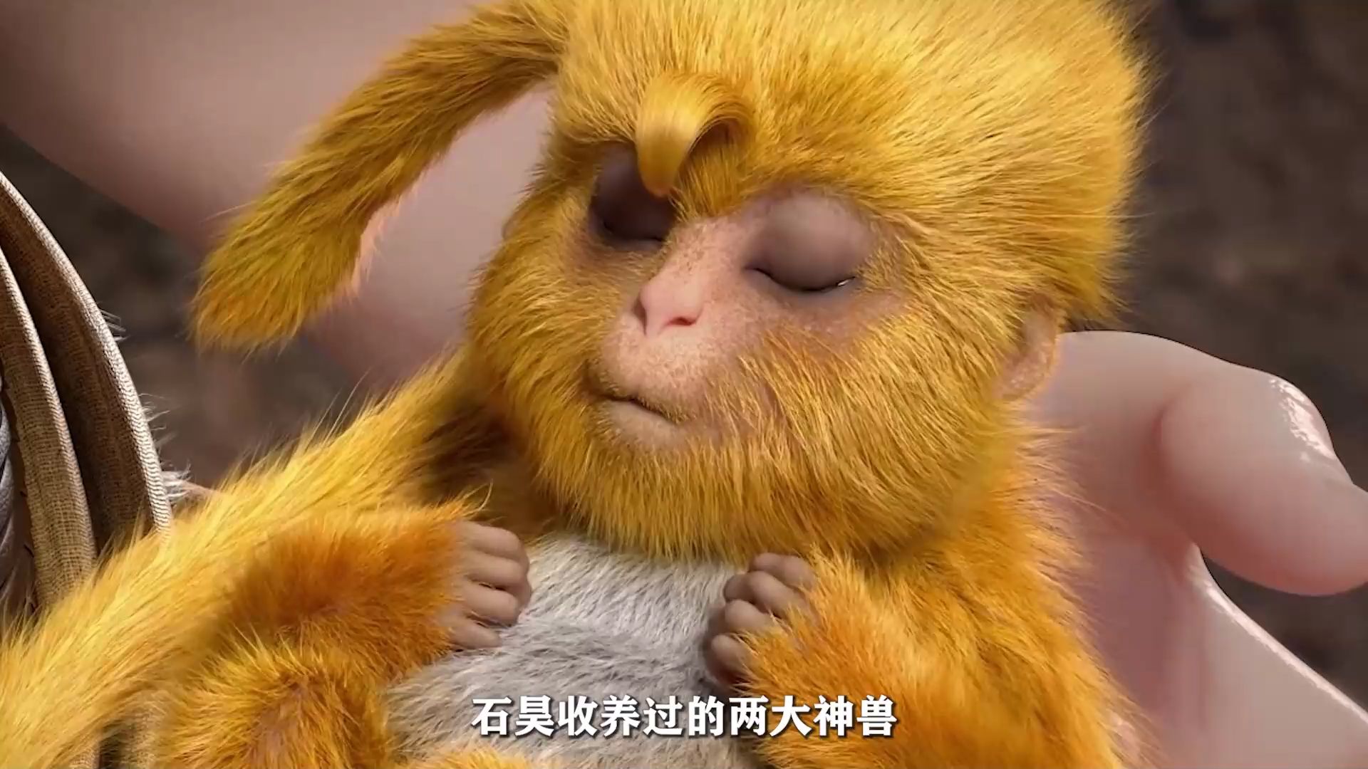【完美世界荒天帝的神宠】石昊收养过的两大神兽,为何毛球与小红的...