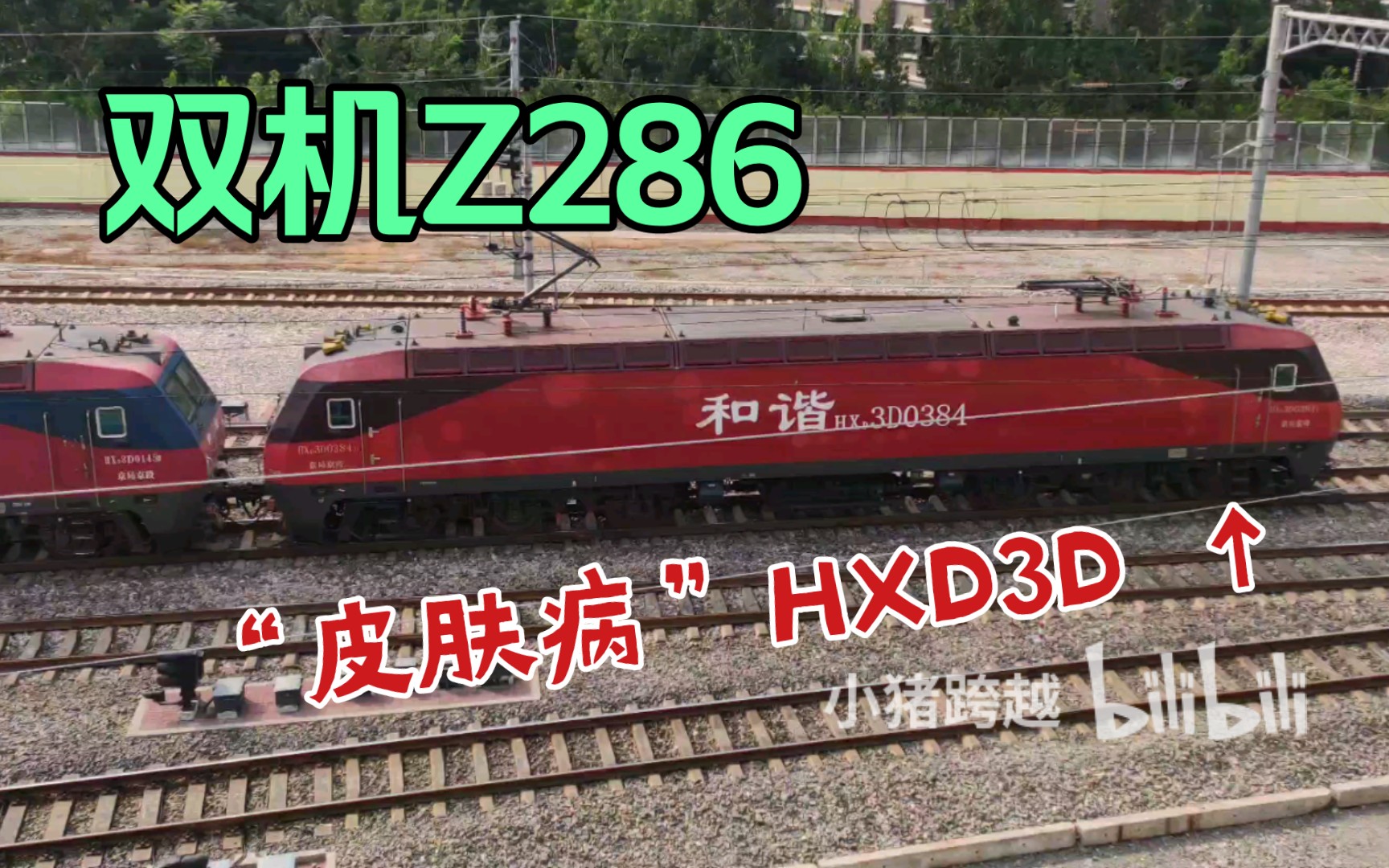 【火车】双机Z286-带“皮肤病”的京局3D