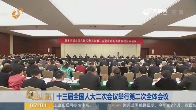 十三届全国人大二次会议举行第二次全体会议