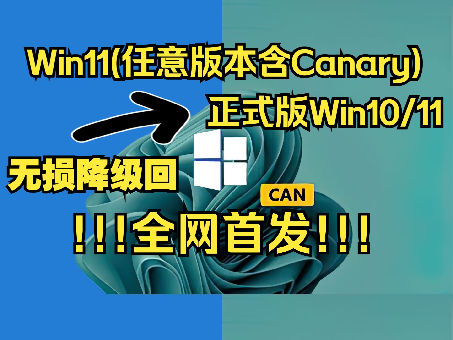 ...Window11任意版本(含Canary版本)无损降级回Windows10/11正式版