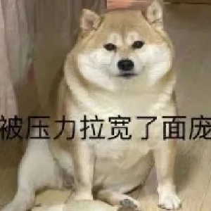 红花清火牙膏 