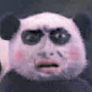 风骚哥数码一帖一机 