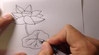 金龙手绘简笔画.荷花画法1