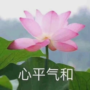 低头亲一口晚宁 