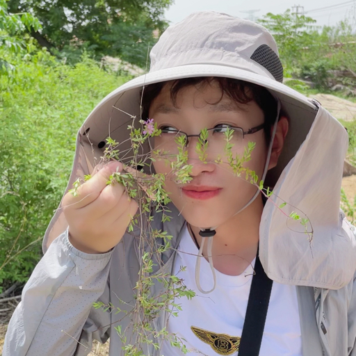 海龙讲百草 