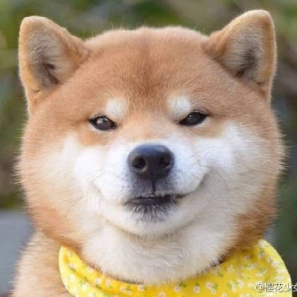 小城里岁月流过去啊 